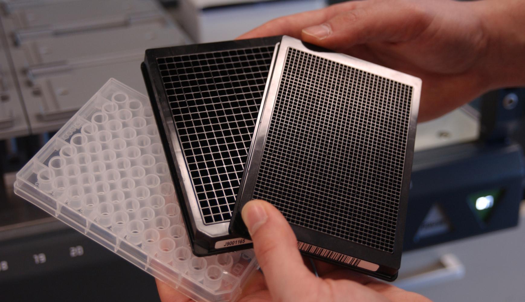 Screening plate tracker | Saber Informatics